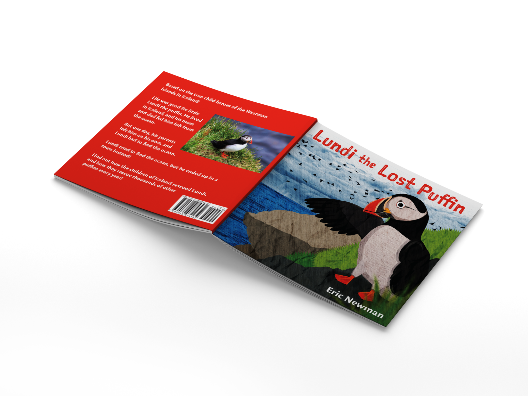 Lundi the Lost Puffin – Icelandic National League