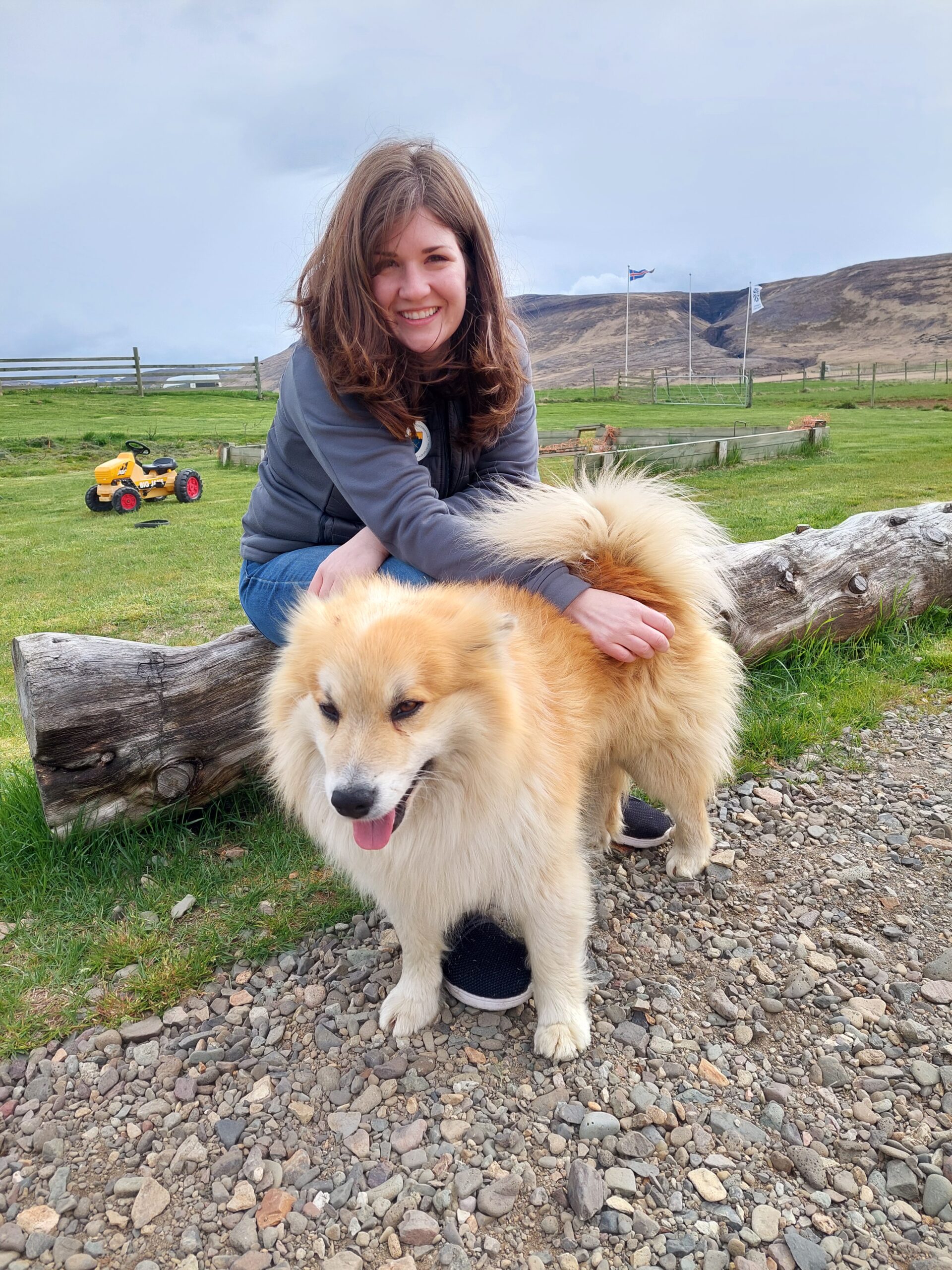 A Snorri West Participant Experiences an Icelandic Roots Success Story ...